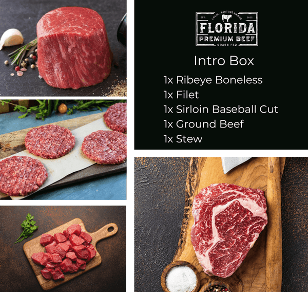 Grassfed Beef Intro Box – Florida Premium Beef